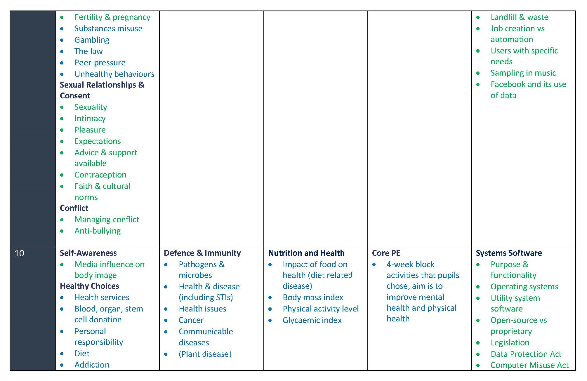 RSE (Relationship and Sex Education) - The Birley Academy